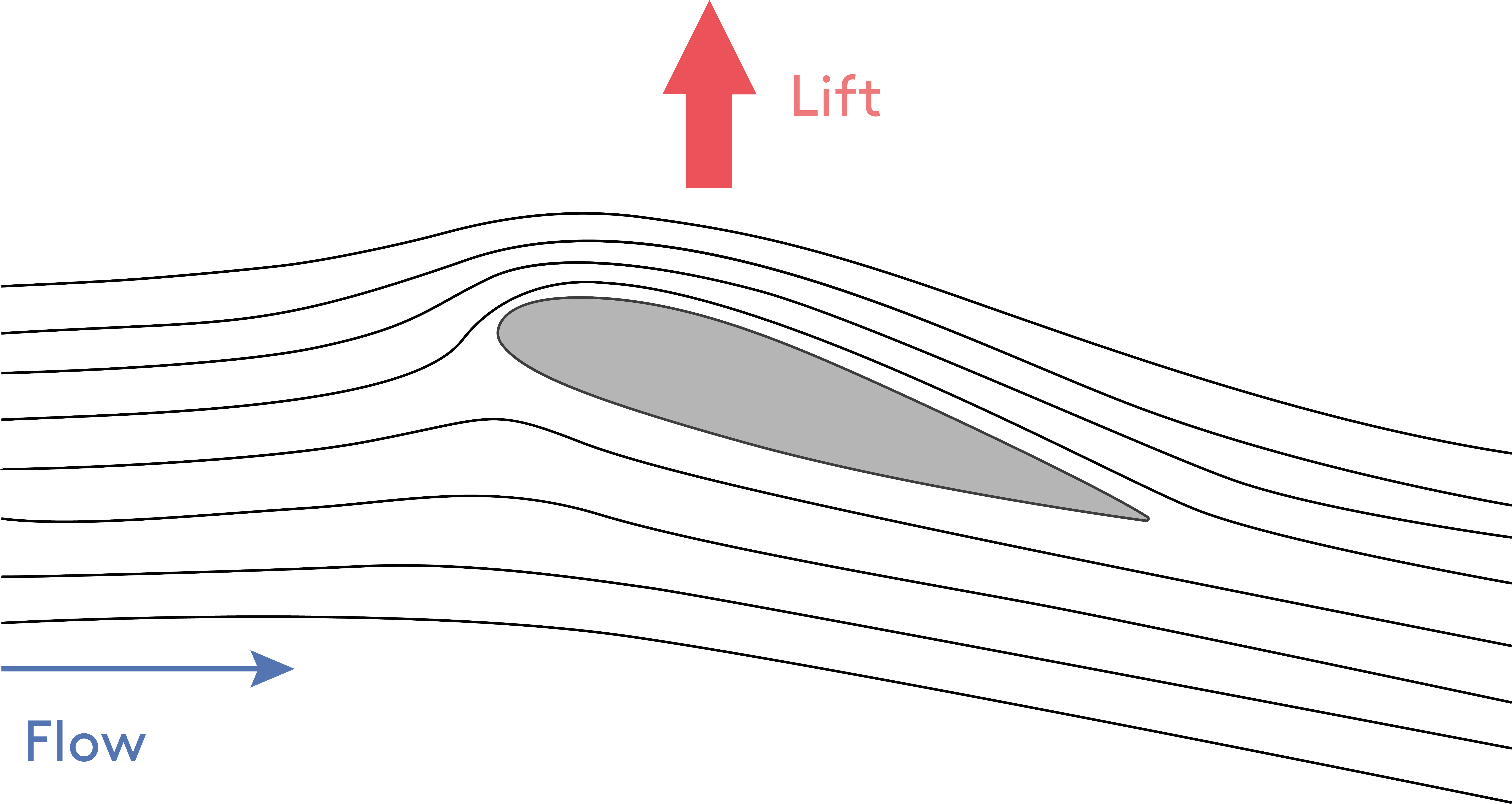 Dynamischer Auftrieb (Segellexikon) | Bootsschule1®