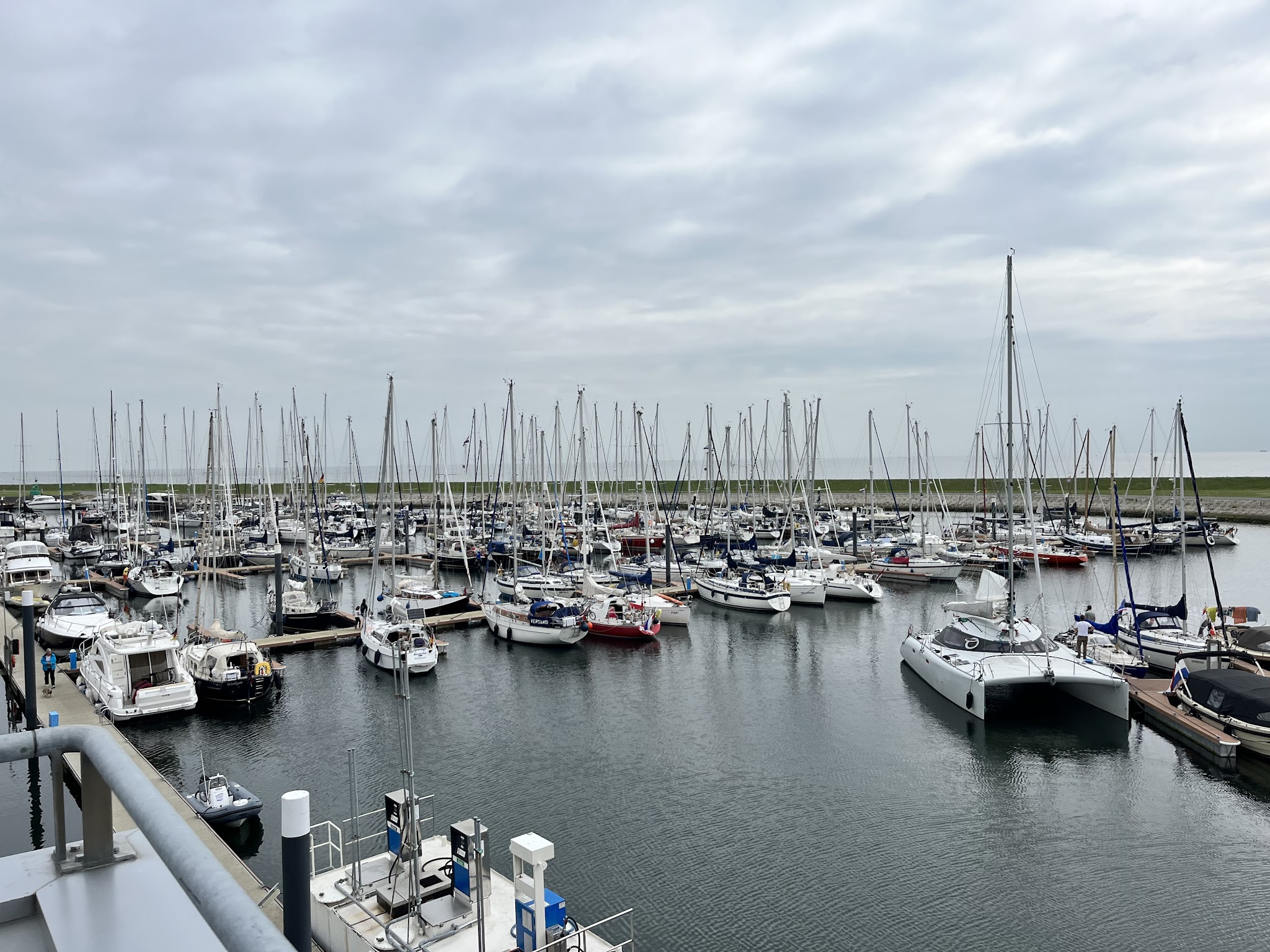 Hafen Texel (Niederlande/Nordholland/Texel) | Hafen-Guide